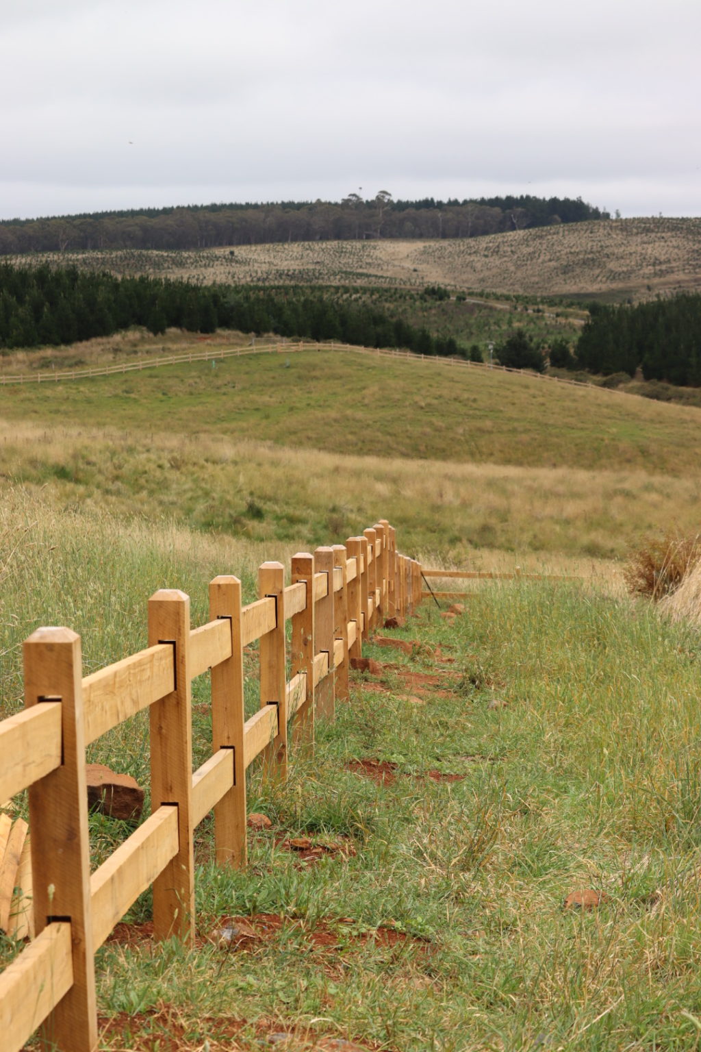 Post and Rail Fences