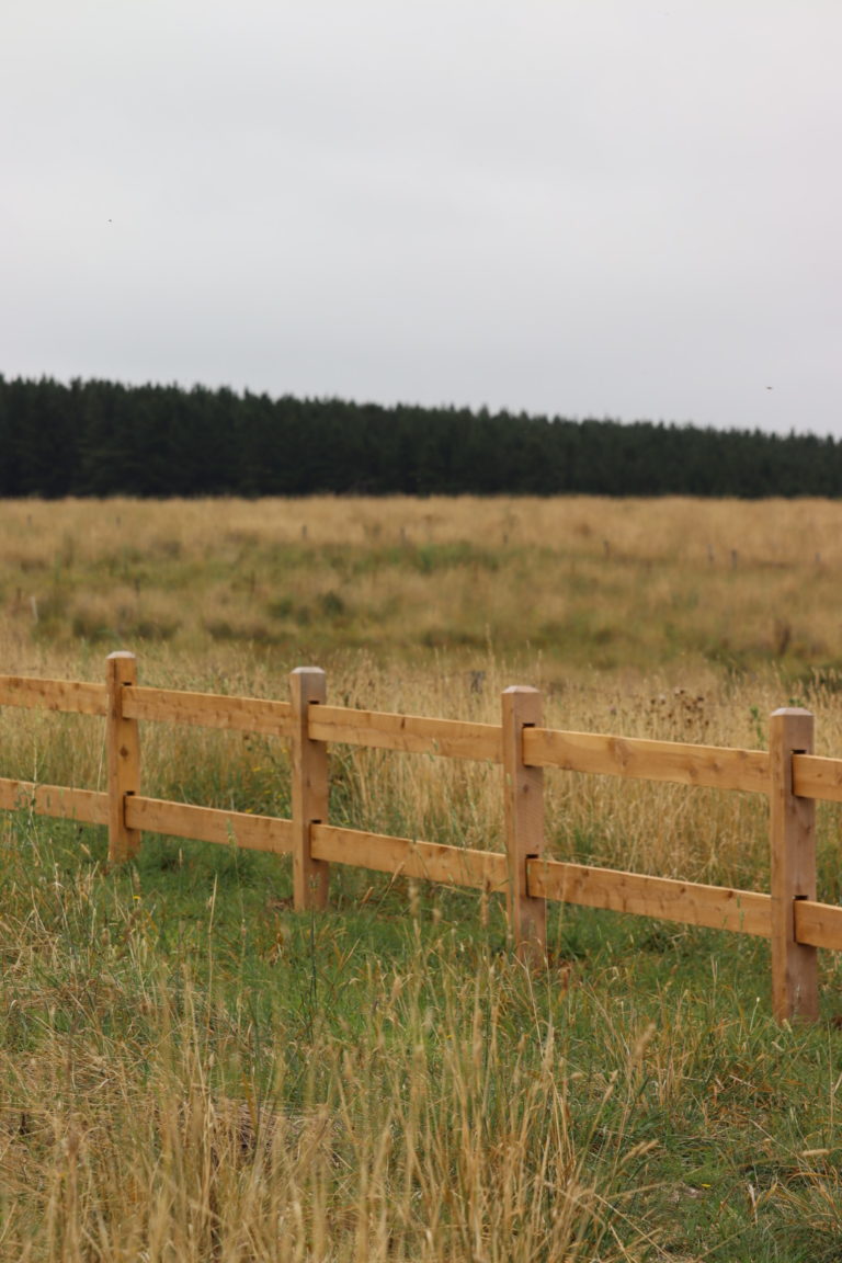 Post and Rail Fences