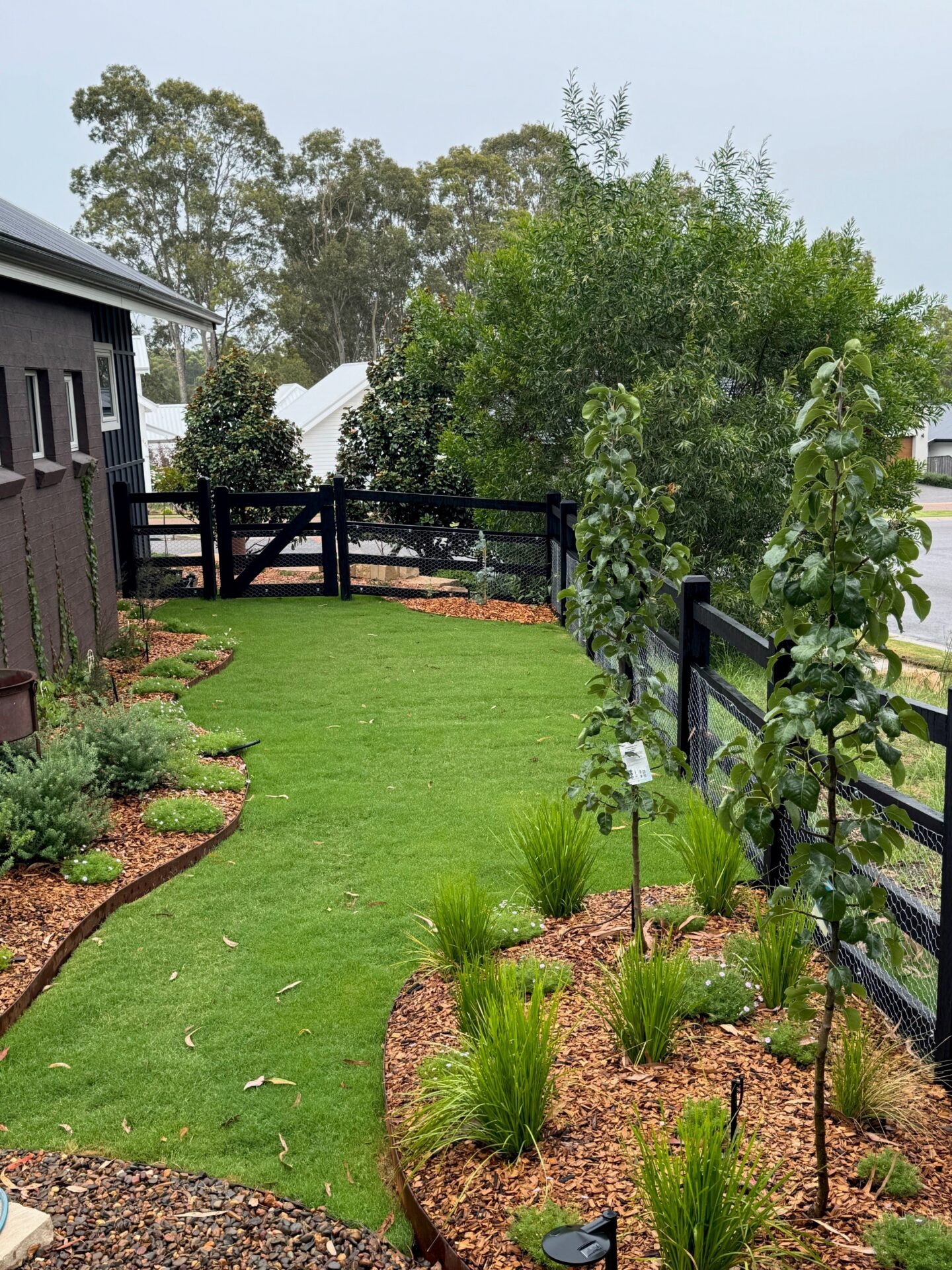 Kate Banks 3 - Saltram Rural