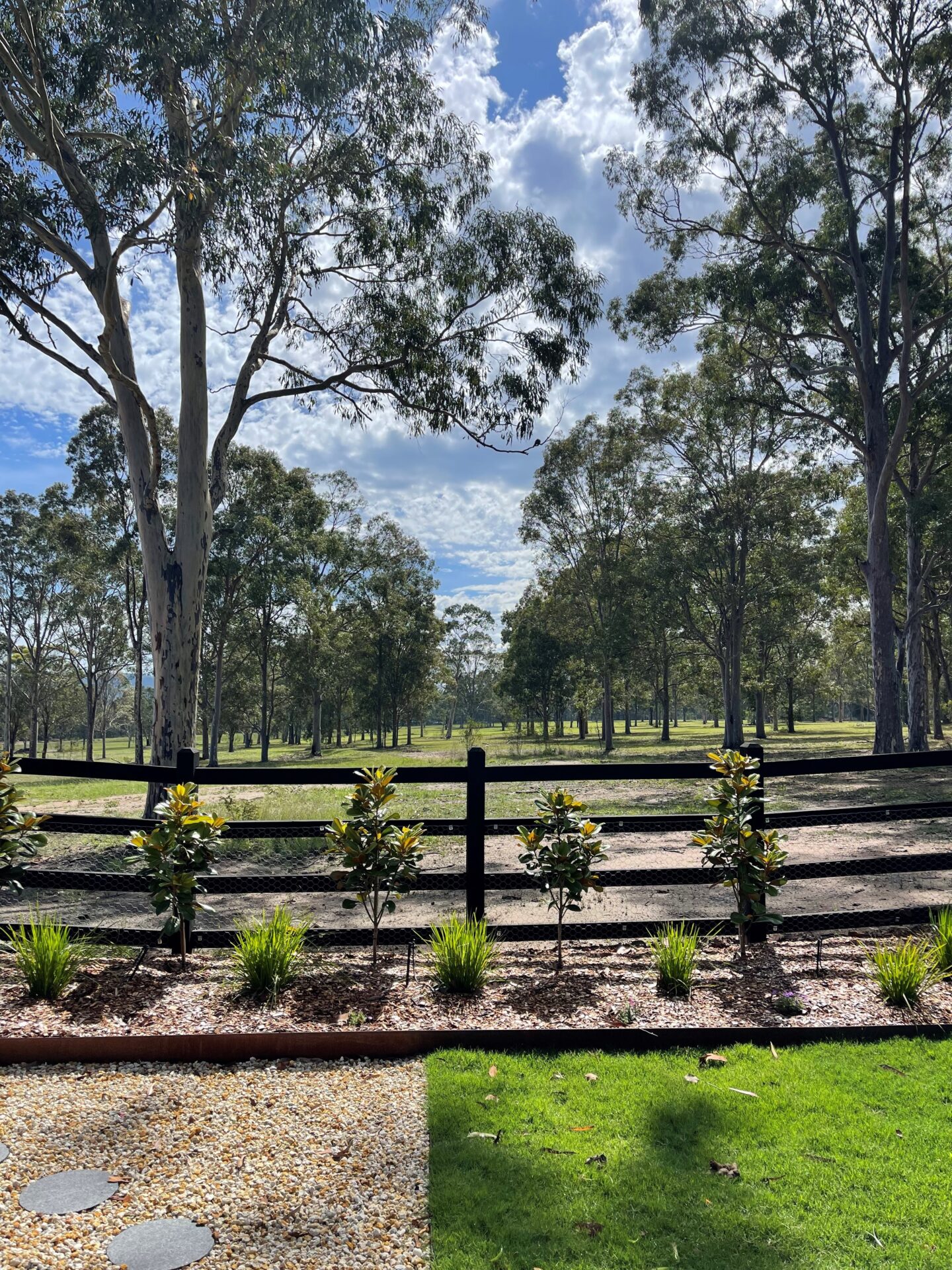 Kate Banks 4 - Saltram Rural