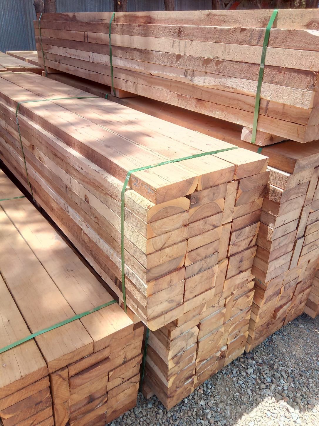 Timber Supply